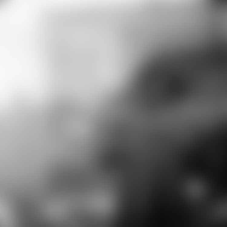 Home - Benjamin Lapidus